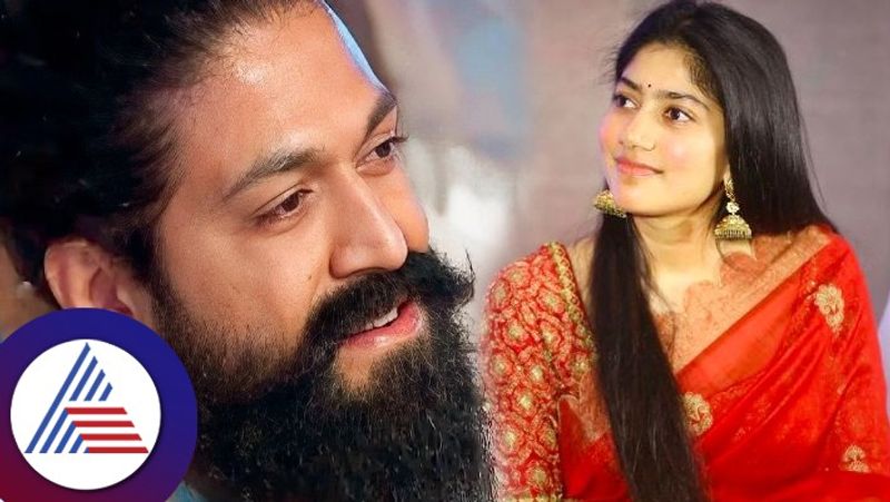 Yash 19th Film Sai pallavi ನಾಯಕಿ; ಕೇರಳದಲ್ಲಿ ದೊಡ್ಡ ಚರ್ಚೆ! - Sai pallavi to act with Yash in his ...