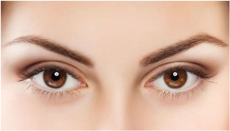 How many megapixels is your eye? Unveiling the astonishing resolution ...