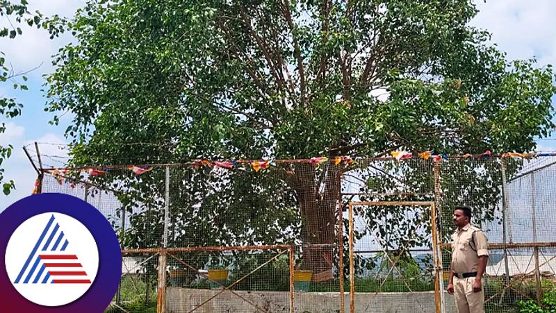 ಮಾನ್ಯ ಮಹೋದಯರಿಗೆ ವಿವಿಐಪಿ ಪಟ್ಟ ಕೊಡೋದು ಗೊತ್ತು, ಭಾರತದ Sanchiಯ Bodhi ...