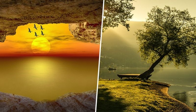 Vitamin D synthesis to improved mood: 7 benefits of morning Sunlight ...