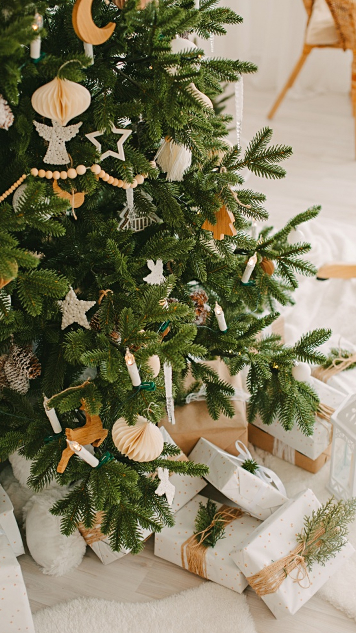 Christmas 2023 : 50 रूपयांत ख्रिसमस ट्री सजवण्यासाठी खास DIY Hacks ...