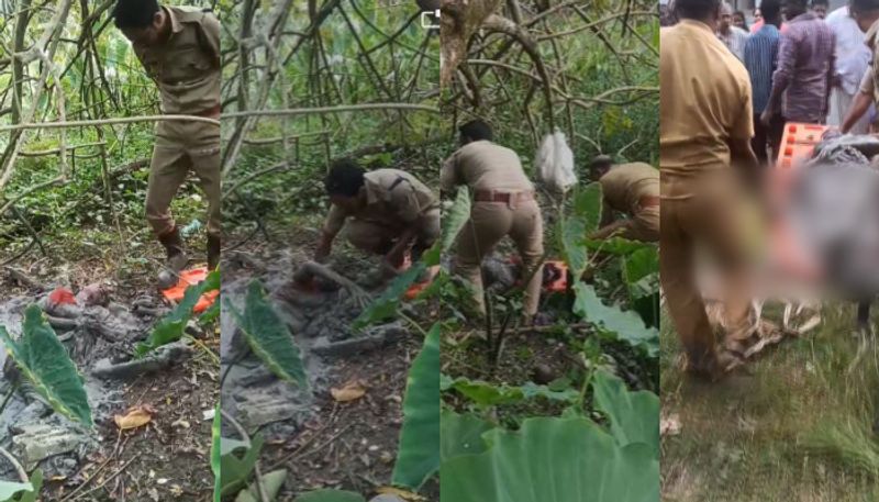 ആരുമറിഞ്ഞില്ല, 76 കാരി കഴുത്തറ്റം ചതുപ്പിൽ പുതഞ്ഞ് കിടന്നത് 4 മണിക്കൂ ...