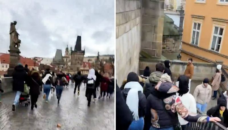 Rescue services: 11 dead including attacker, 9 seriously injured in ...
