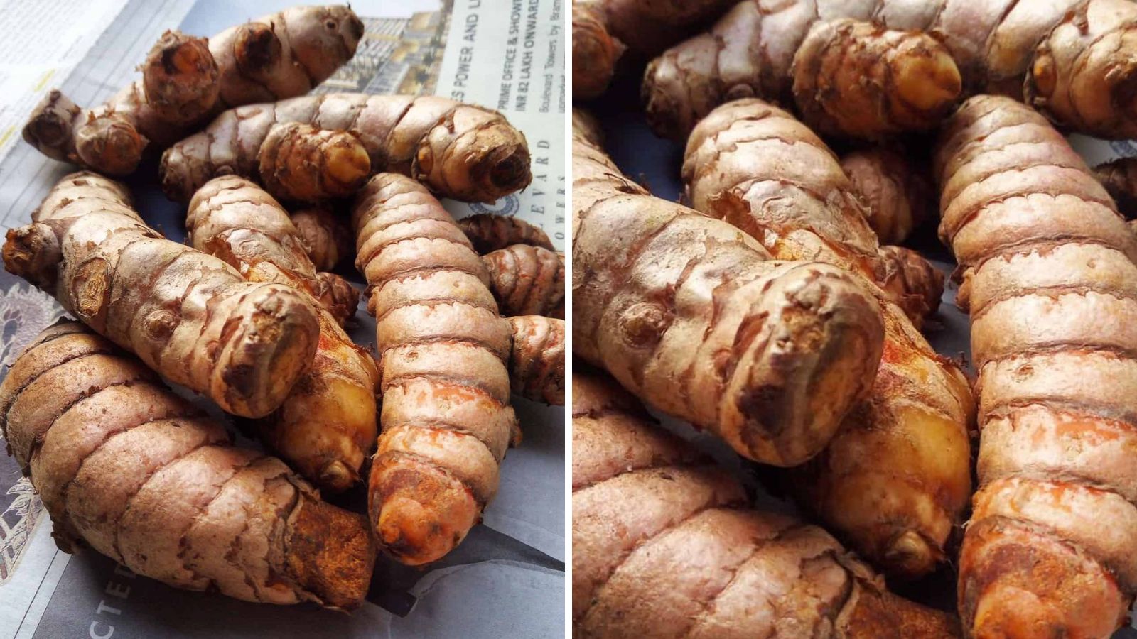 साध्या हळदीपेक्षा आंबे हळद आहे आरोग्यासाठी अधिक लाभदायक, जाणून घ्या 8 ...