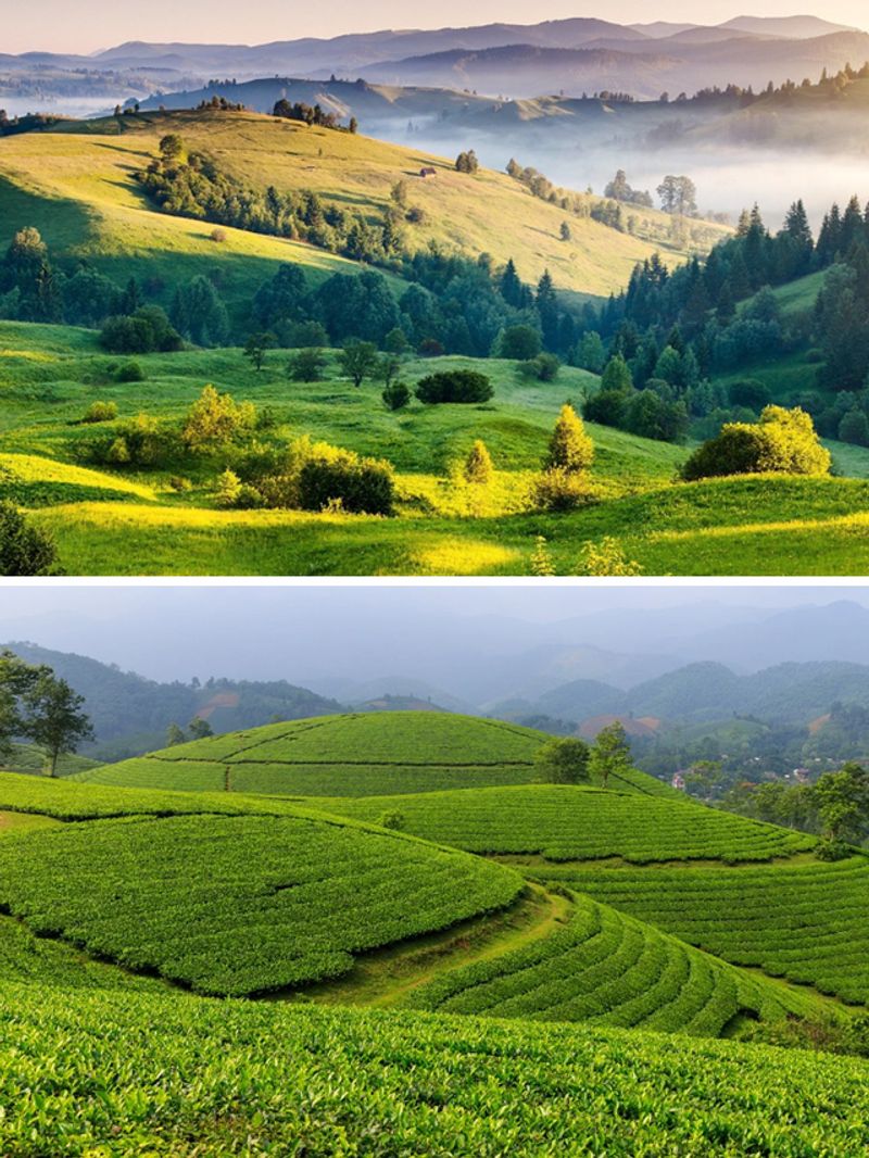 7 reasons why you must visit Coorg in January- Asianet Newsable