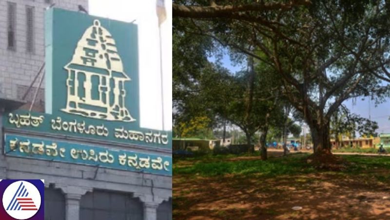 Bengaluru: BBMP begins ambitious tree census to preserve city's green ...