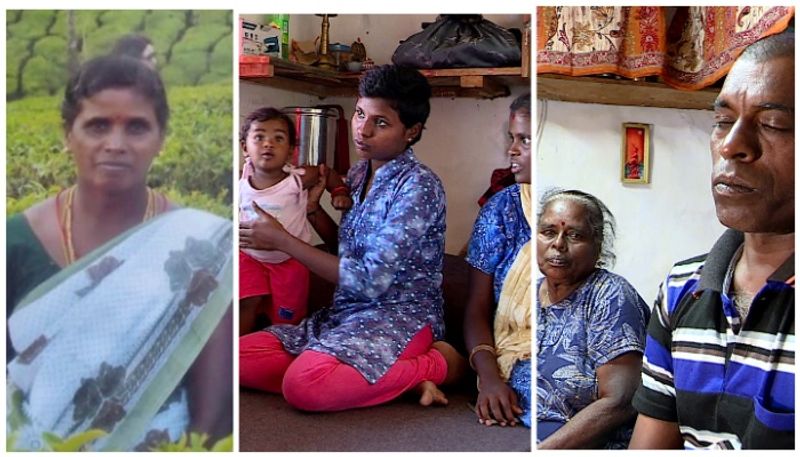 Kerala: Even after 40 days, Idukki elephant attack victim's family gets ...