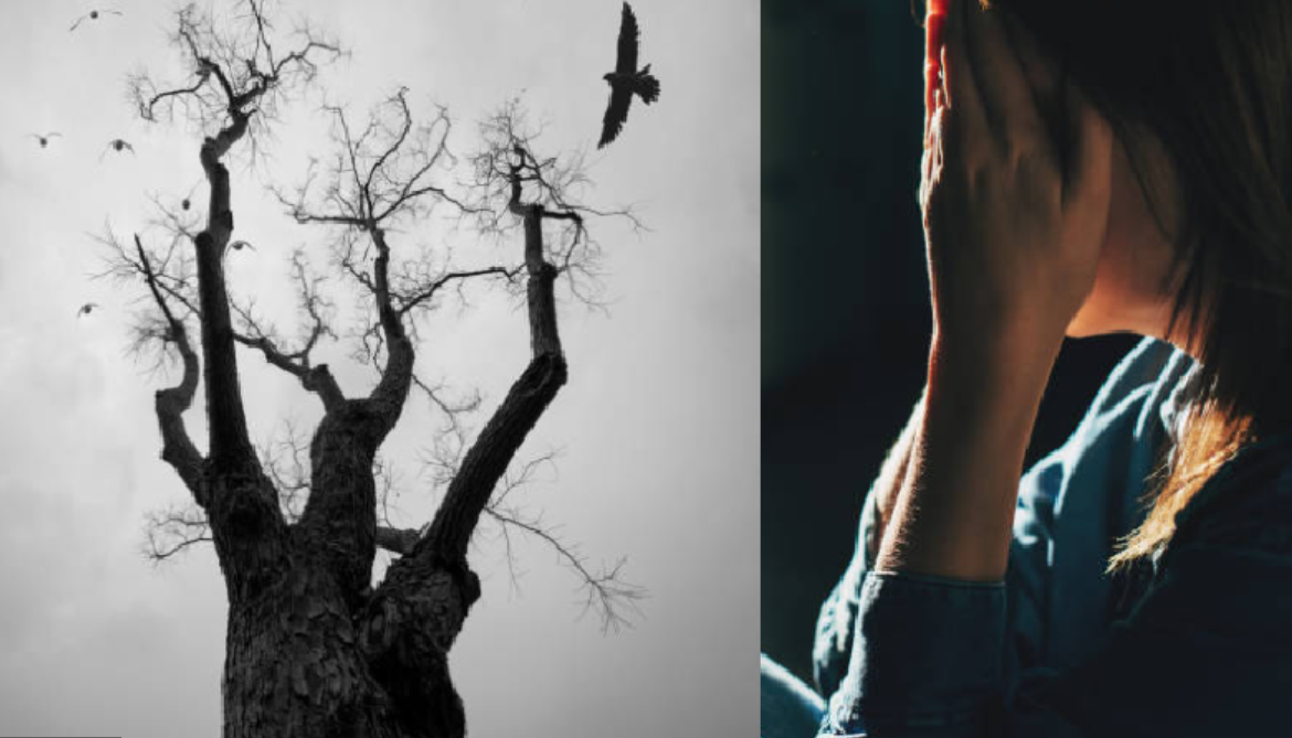 Unlucky Trees: ব্যাপক নেতিবাচক শক্তি বয়ে আনে এই কয়েকটি গাছ, দুর্ভাগ্য ...