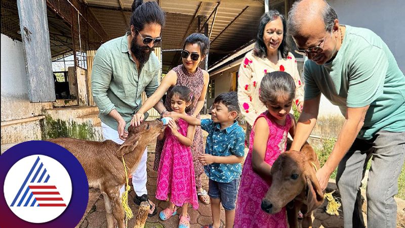 Rocking star Yash spends quality time with family at farmhouse; See ...