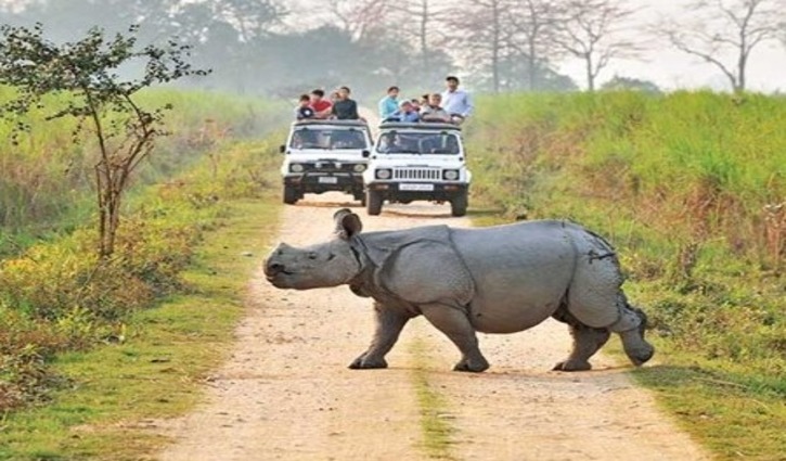खतरनाक बाघ और एक सींग वाले गैंडों से भरा है काजीरंगा नेशनल पार्क, जानें ...