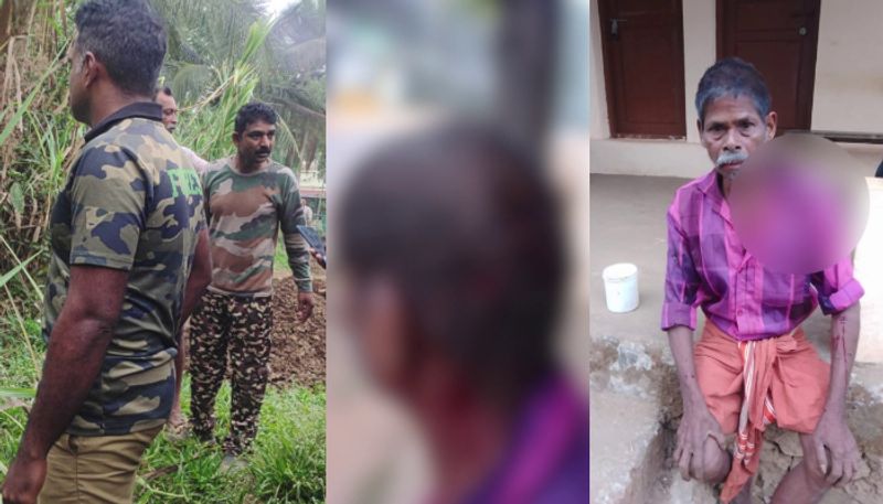 വയനാട്ടില്‍ വീണ്ടും വന്യജീവി ആക്രമണം; തലയ്ക്ക് പരിക്കേറ്റ യുവാവ് ...