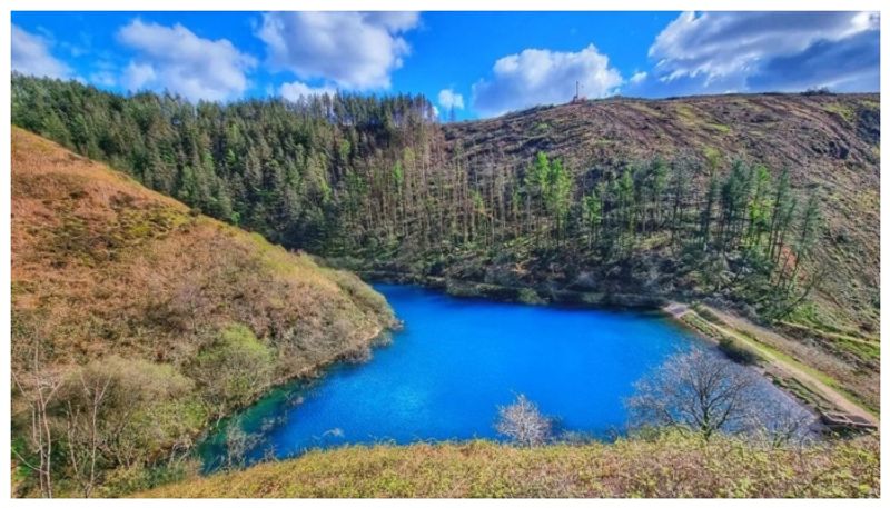 Brombil Reservoir: അരക്കോടി കുറച്ചു, എന്നിട്ടും ഡിമാന്‍റില്ല; തടാകം ...