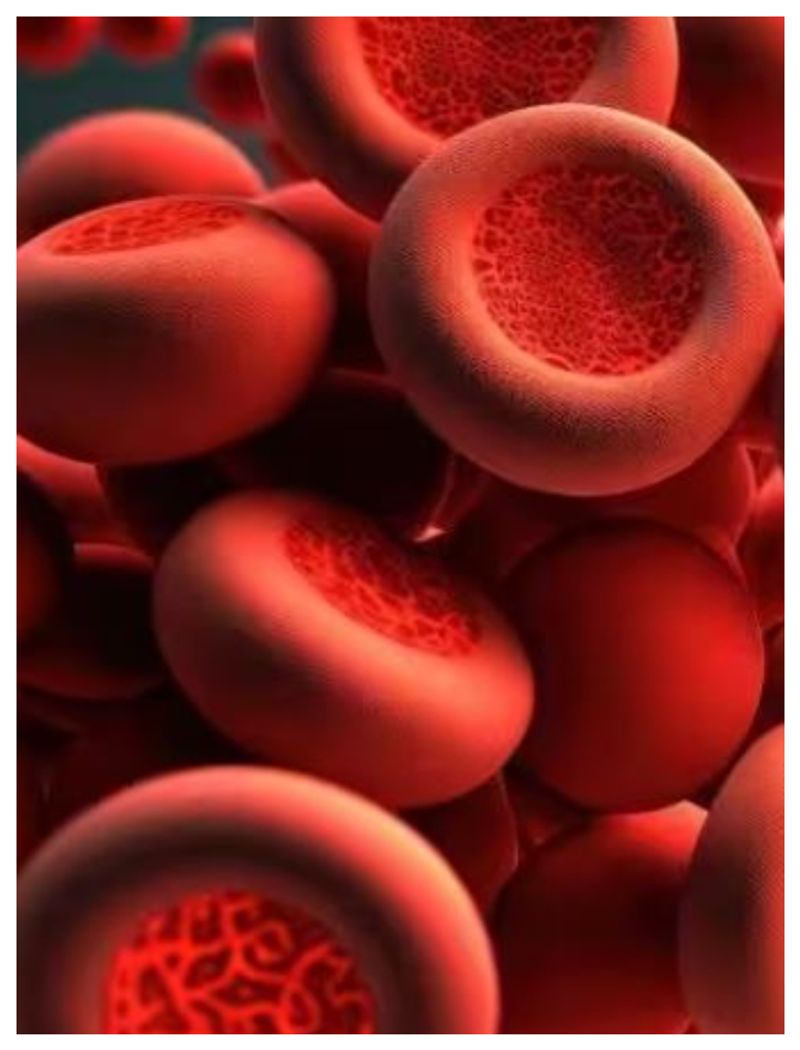 Low blood platelets? Try these 8 juices to boost your platelet count ...