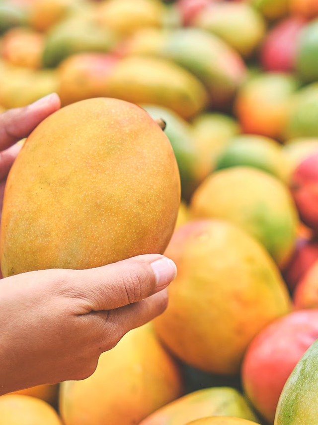 Mango Benefit: নিত্যদিন আম খান তো? জানুন আমকে ফলের রাজা বলার ৮টি কারণ ...