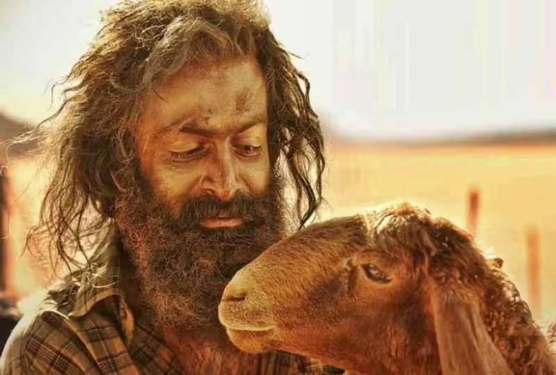 Aadujeevitham OTT release: Netflix or Amazon Prime? Where and when to ...