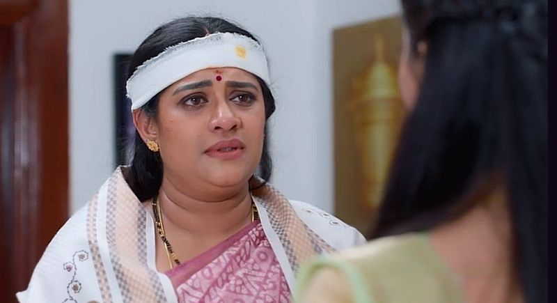 Karthigai deepam serial : சொத்து விஷயத்தில் அபிராமி வைத்த ட்விஸ்டால் ...