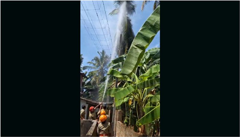 coconut tree hanging over roof caught fire പലതവണ ആവശ്യപ്പെട്ടിട്ടും ...
