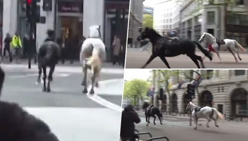 2 Army horses gallop through Central London during rush hour, contained ...
