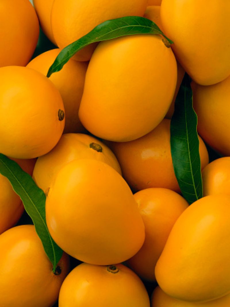 Fact Check, Mango Peels Reduce Cancer Risk | ജലദോഷം മുതല്‍ അര്‍ബുദം വരെ ...