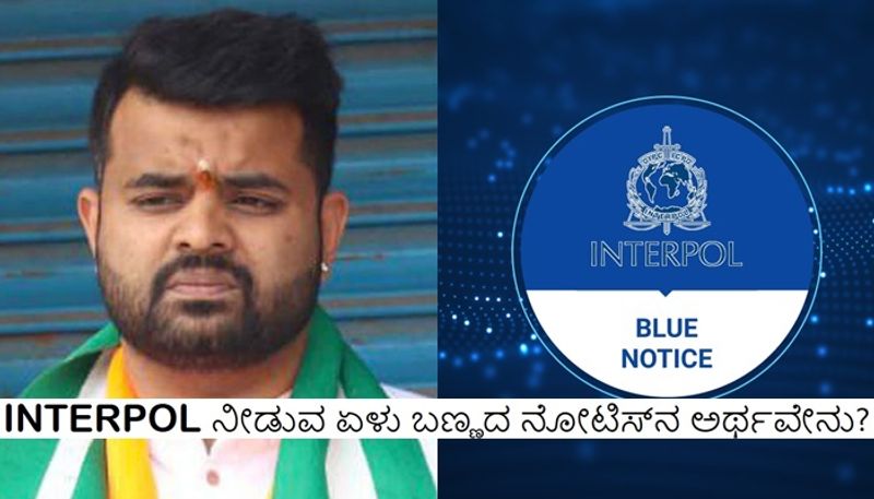 Interpol colour coded notices List ಏನಿದು ಬ್ಲ್ಯೂ ಕಾರ್ನರ್‌ ನೋಟಿಸ್ ...
