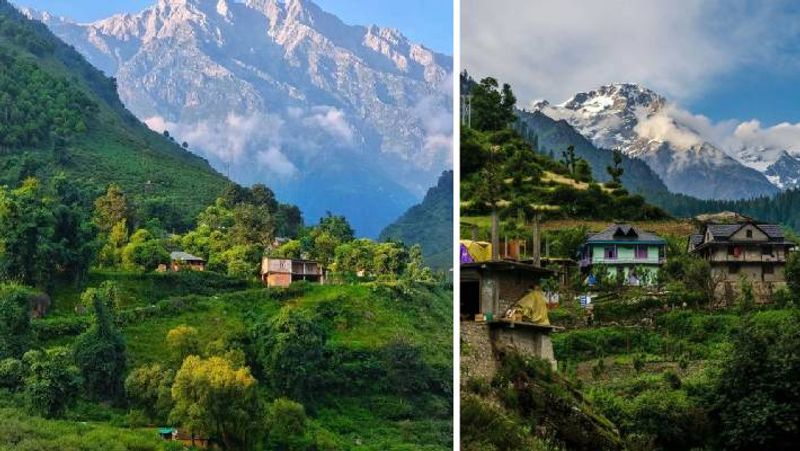 Shoghi: Explore this offbeat destination in Himachal Pradesh this ...