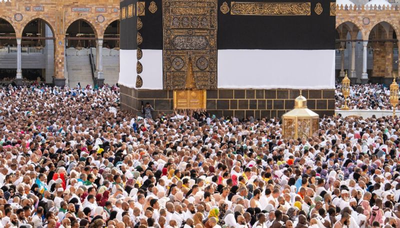Over 550 Hajj pilgrims die in Mecca amid temperatures exceeding 50 degrees - Asianet Newsable