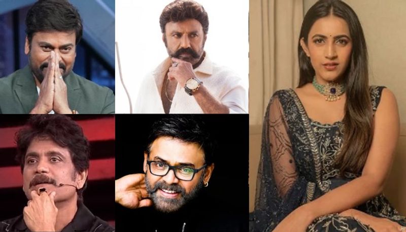 బాలకృష్ణ, నాగార్జున, వెంకటేష్‌ హీరోలని నాకు తెలియదు.. మెగా డాటర్ ...