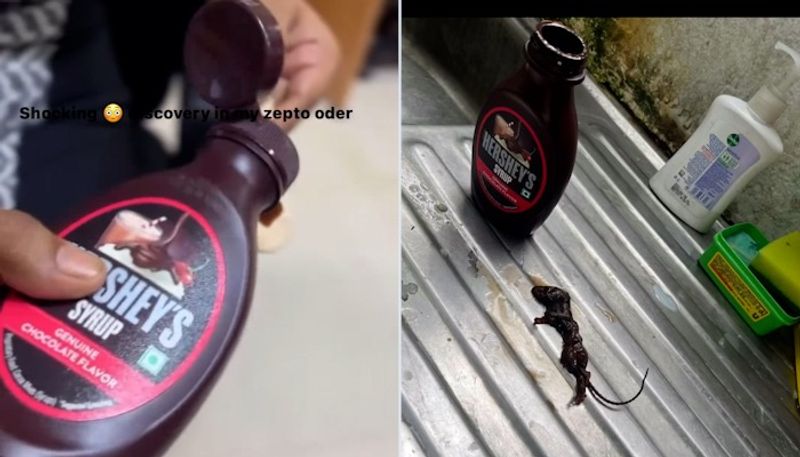 Mumbai SHOCKER! Dead mouse found in Hershey's chocolate syrup, outrage ...