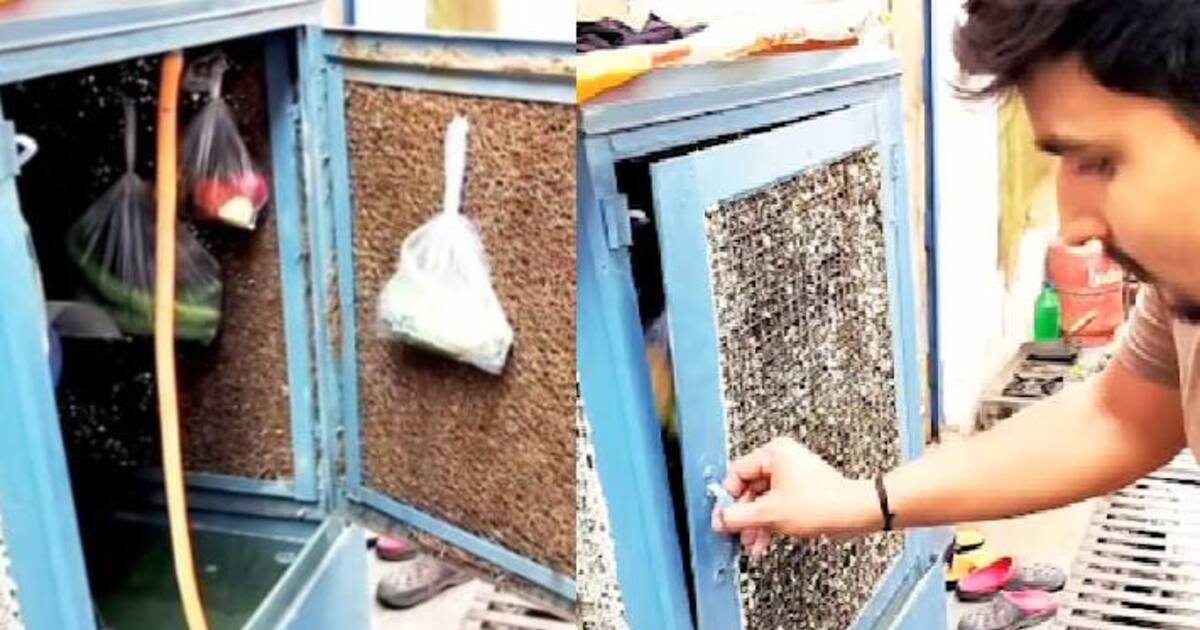 स्टूडेंट का देसी जुगाड़ कूलर के अंदर Free में बनाया फ्रिज नहीं खराब होंगे फल सब्जी और कोल्ड