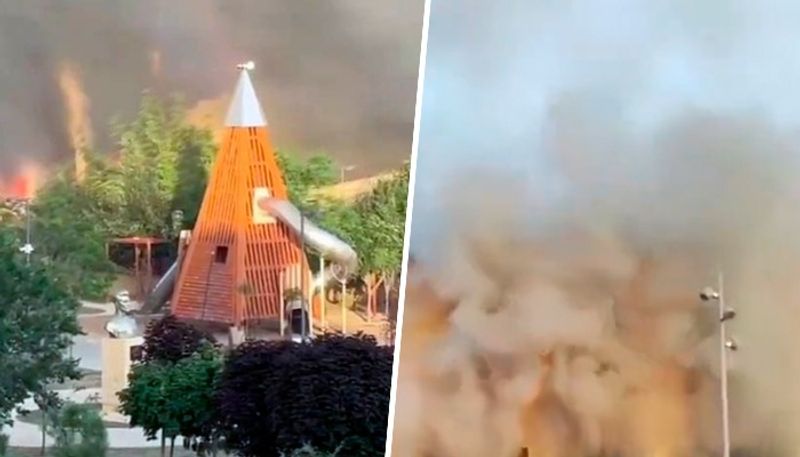 Dagestan TERROR: 15 killed, including cops and priest, in synagogue and ...