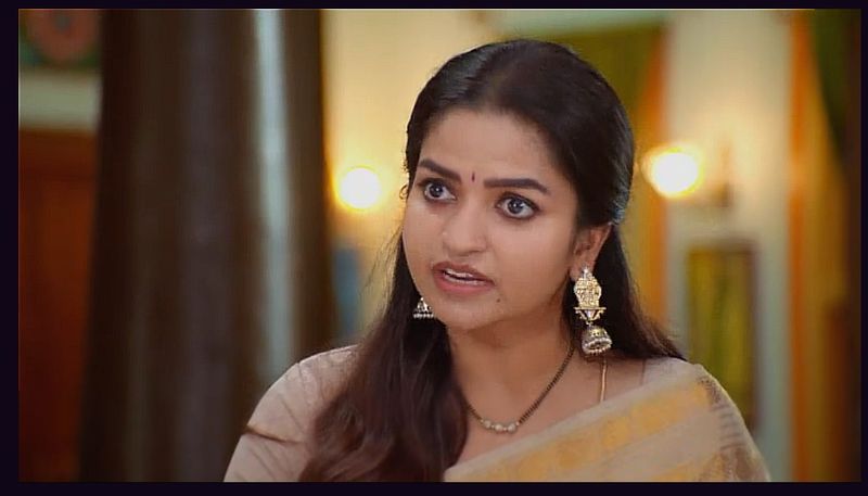 Anna Serial: வெளியே வரும் சூடாமணி.. பரணியால் ஷண்முகத்திற்கு காத்திருக்கும் அதிர்ச்சி! அண்ணா ...