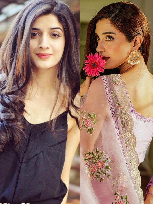 T-20 World Cup: पाकिस्तान में भी इंडिया-इंडिया, स्टार्स बोले- शानदार - t 20 world cup 2024 ...