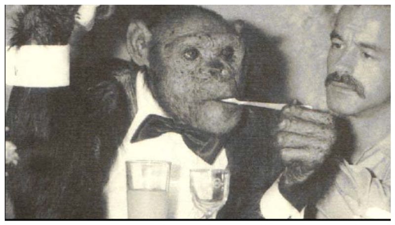 Humanzee: നെറ്റിസണ്‍സിനെ ആവേശത്തിലാക്കി 'ഹ്യൂമന്‍സീ' എന്ന ...