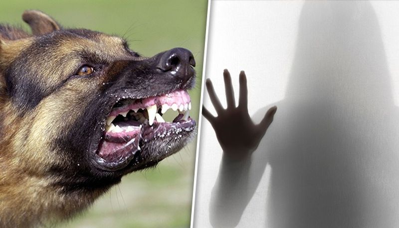 SHOCKER: Dog saves Mumbai woman from rape; read report