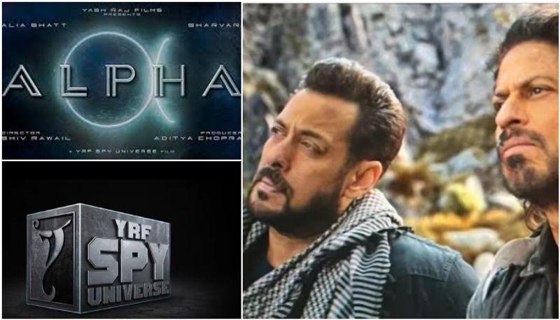 Alia Bhatt YRF Spy Film Alpha : ടൈഗറിനോടും പഠാനോടും മുട്ടാന്‍ പുതിയ ...