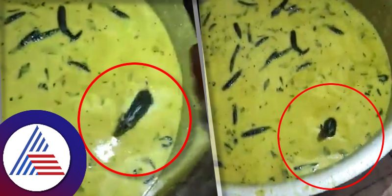 Rat swimming in chutney which prepared for serve student: : ವೀಡಿಯೋ ವೈರಲ್: sultanpur JNTUH ...