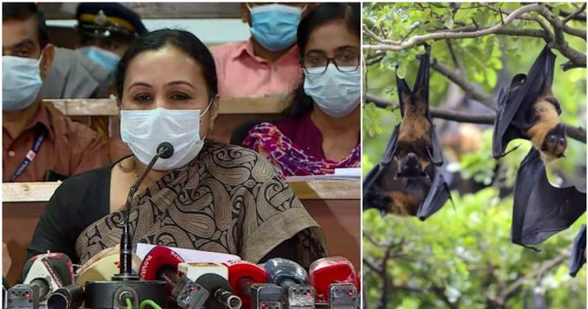 Nipah virus confirmed in Kerala after 14-year-old from Malappuram tests ... Nipah virus confirmed in Kerala after 14-year-old from Malappuram tests ...