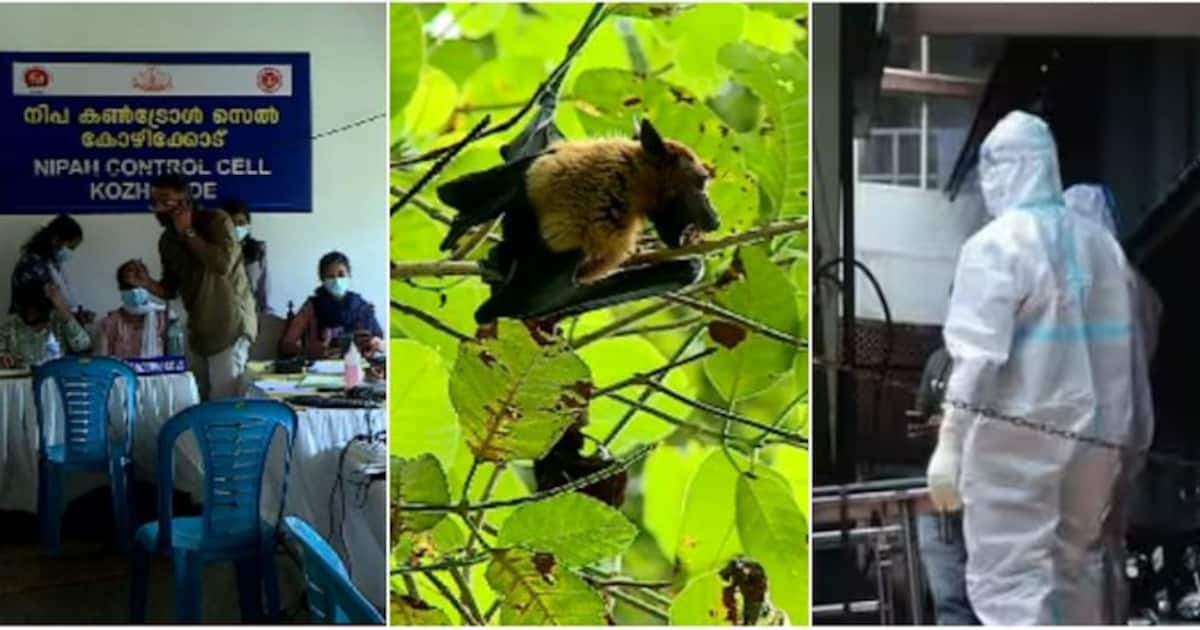 Nipah virus claims 14-year-old's life in Kerala's Malappuram - Asianet ... Nipah virus claims 14-year-old's life in Kerala's Malappuram - Asianet ...