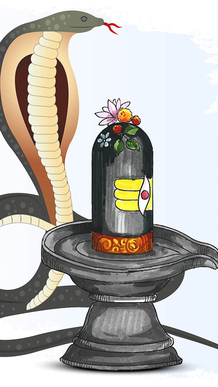 শ্রাবণ মাসের সোমবার শিব ঠাকুরের আর্শীরবাদ পেতে এগুলি অর্পণ করুন - sawan ...