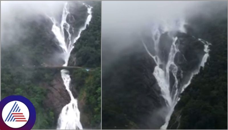 Chennai Express Waterfall DudhSagar Falls | Best WaterFall In Goa