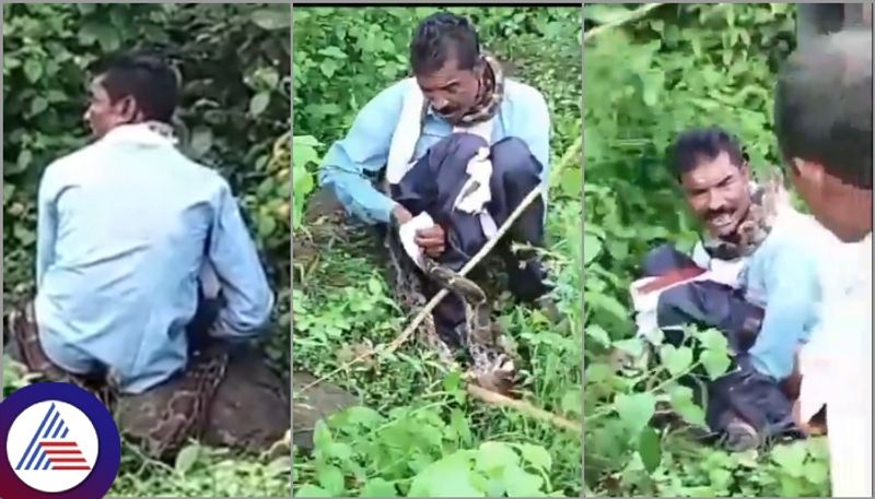 Python Attacks ಬಹಿರ್ದೆಸೆಗೆ ಕುಳಿತ ವ್ಯಕ್ತಿ ಮೇಲೆ ದಾಳಿ ಮಾಡಿ, ನುಂಗಲು ಮುಂದಾದ ...