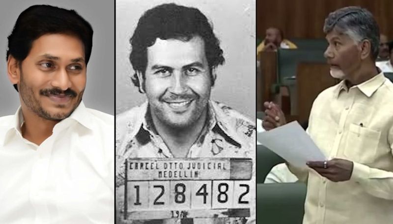 Chandrababu Naidu draws parallel between Pablo Escobar and Jagan Mohan Reddy; dubs ex- AP CM as ...