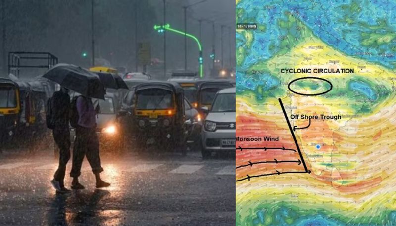 kerala weather update july 30, imd issued Yellow alert in 8 districts ...