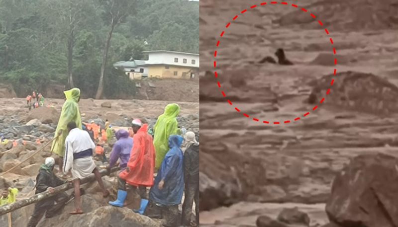 Wayanad landslides Covered in mud for hours, an adventurous rescue ...