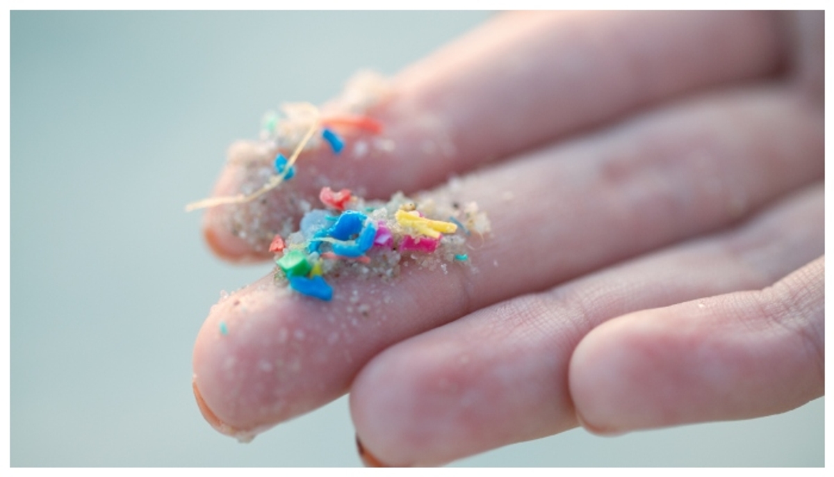 Indian salt and sugar brands have higher levels of microplastics ...