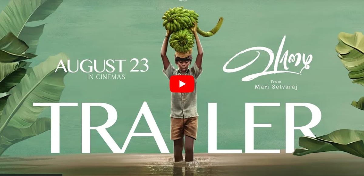 Vaazhai Trailer: தாழ்த்தப்பட்ட மக்களில் வலியை பேசும் 'வாழை'; வெளியானது ...