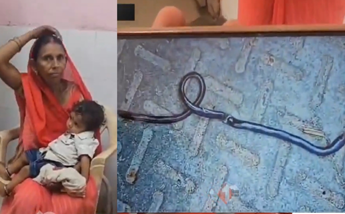One year old baby bites snake and reptile dies on spot ಆರೋಗ್ಯವಾಗಿದೆ ...