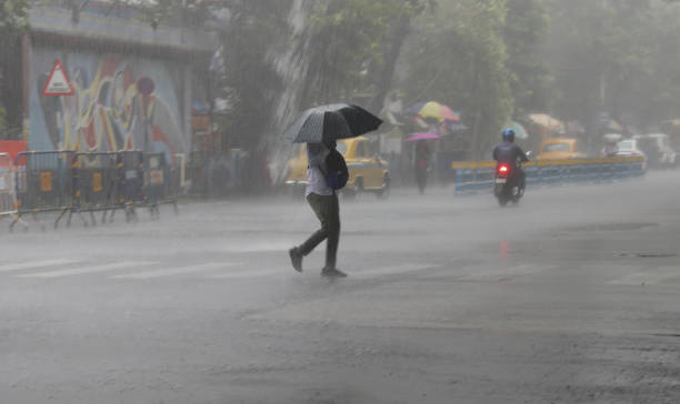 IMD warns of severe weather: Heavy rainfall predicted for MP, Rajasthan, Gujarat, Maharashtra ...