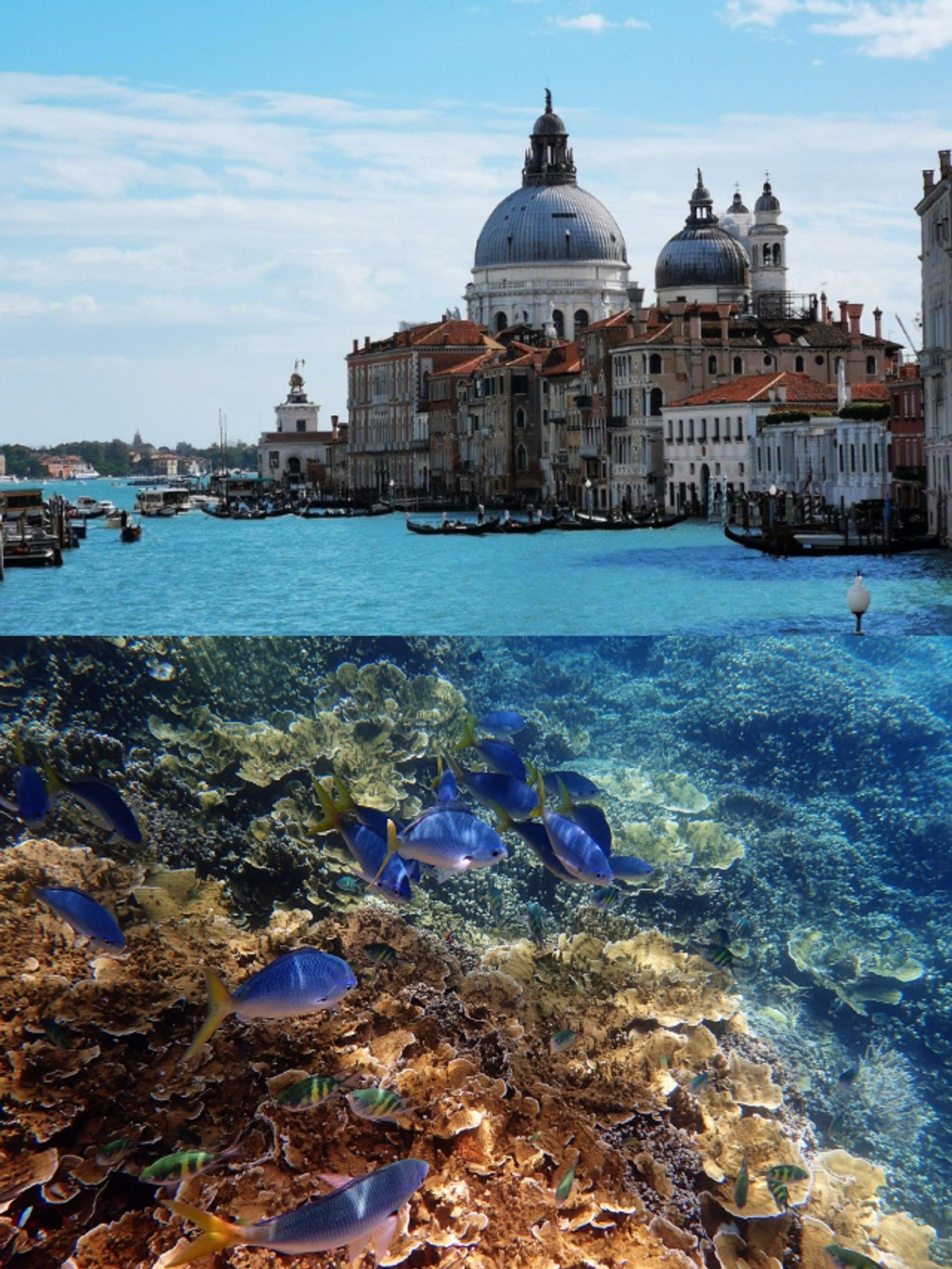 Great Barrier Reef to Venice: 7 UNESCO sites facing climate change ...