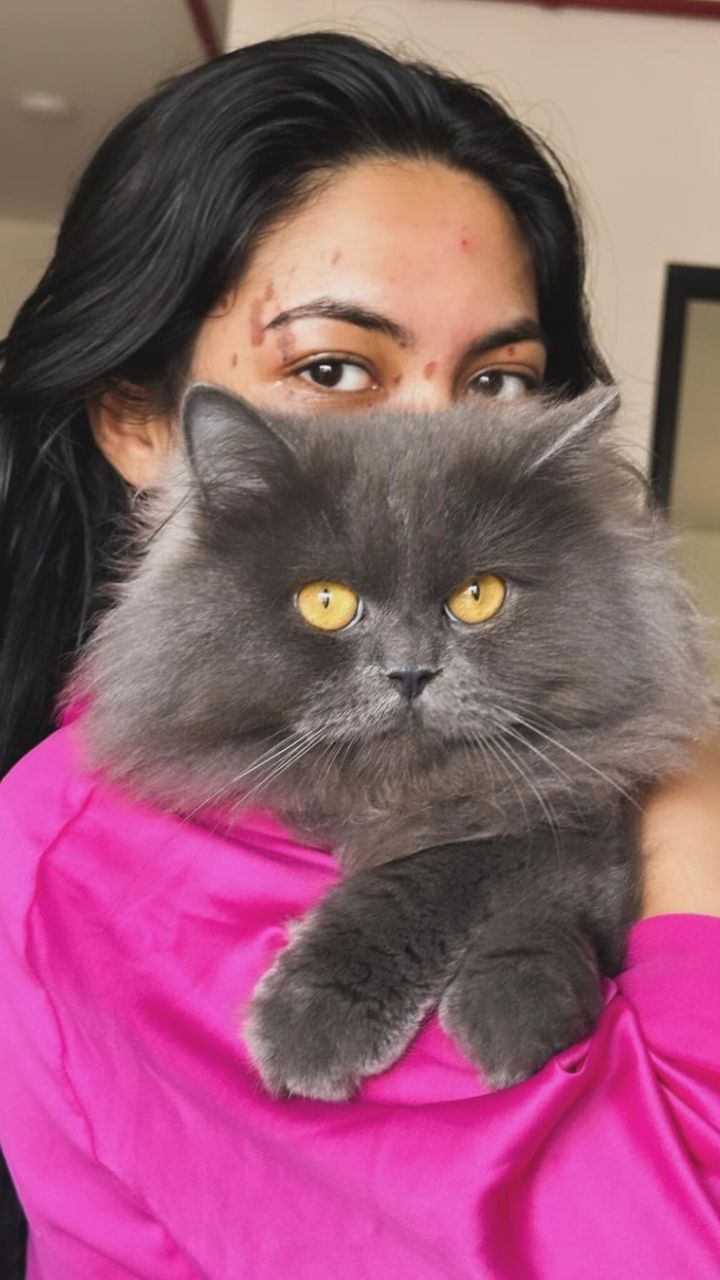 शूटिंग के दौरान इस TV एक्ट्रेस का जला चेहरा, हुआ बुरा हाल - tv actress ...